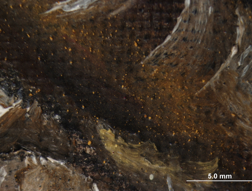 Online Scholarly Catalogues at the Art Institute of Chicago