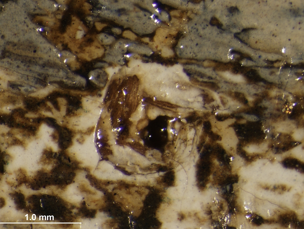 Online Scholarly Catalogues at the Art Institute of Chicago