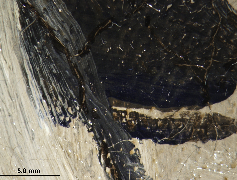 Online Scholarly Catalogues at the Art Institute of Chicago